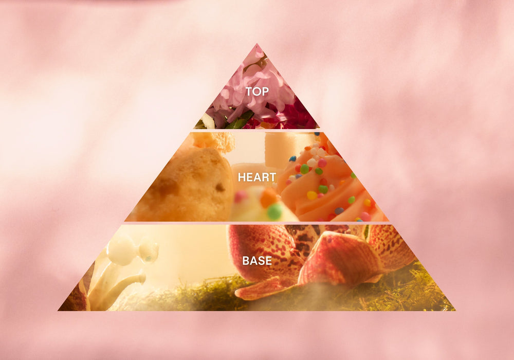 The Anatomy Of A Fragrance: Notes Explained